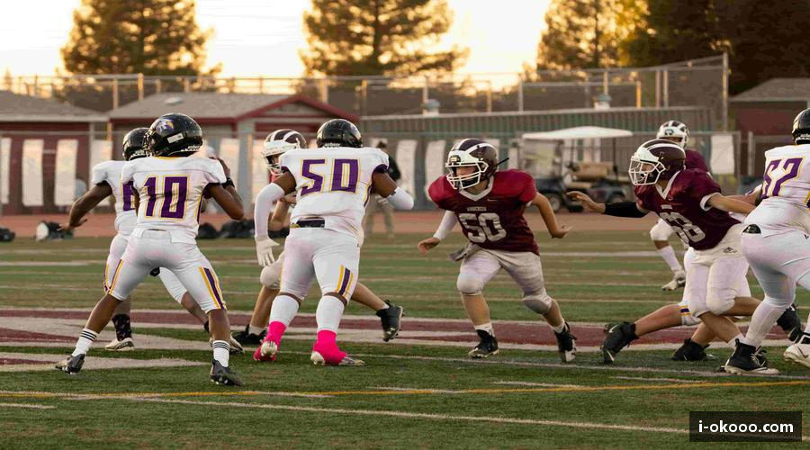 介绍澳客 - okooo-澳客,专业的体育数据服务平台_澳客网官网